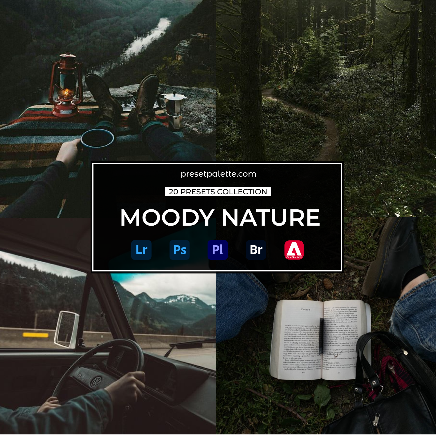 MOODY NATURE